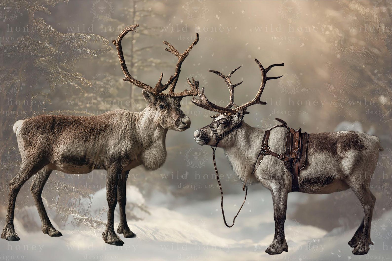 Reindeer Overlays, Photography, Clipart, Bundle, Commercial Use Pngs - Etsy