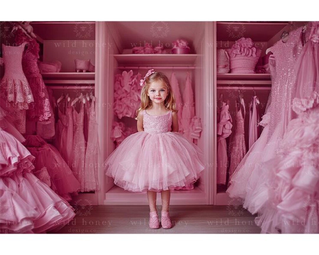 Pink Closet Digital Backdrop, Girl, Dresses, Bedroom, Doll, Portrait ...
