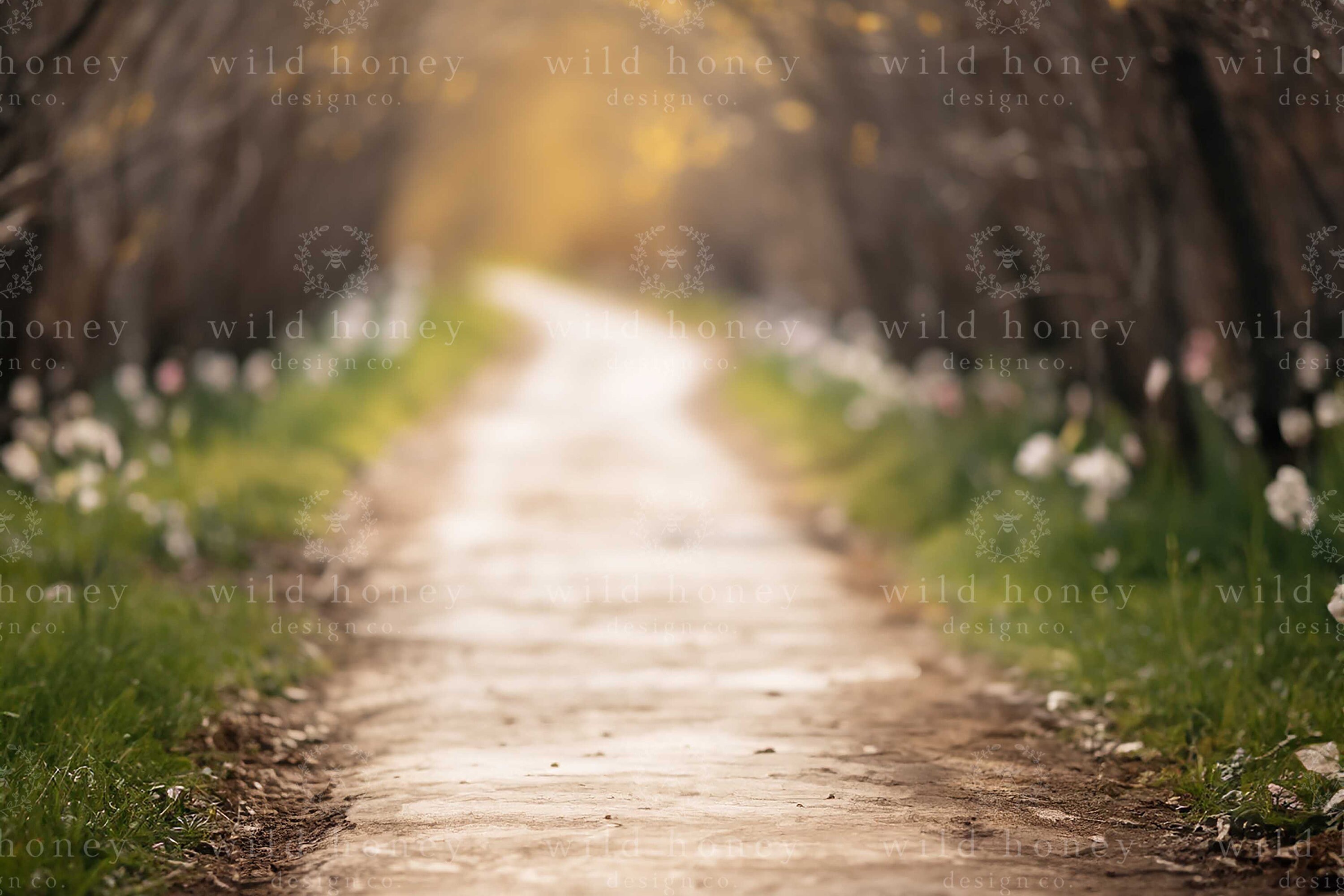 Spring Walk Digital Backdrop: Flower Path Photography Background (JPEG ...