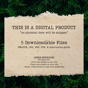 Royalty Color Palette Set of 30 Color Swatches - Etsy