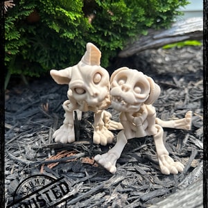 3D Printed Articulated Skeleton Cat With Skeleton Fish, Kitty Spooky - Etsy