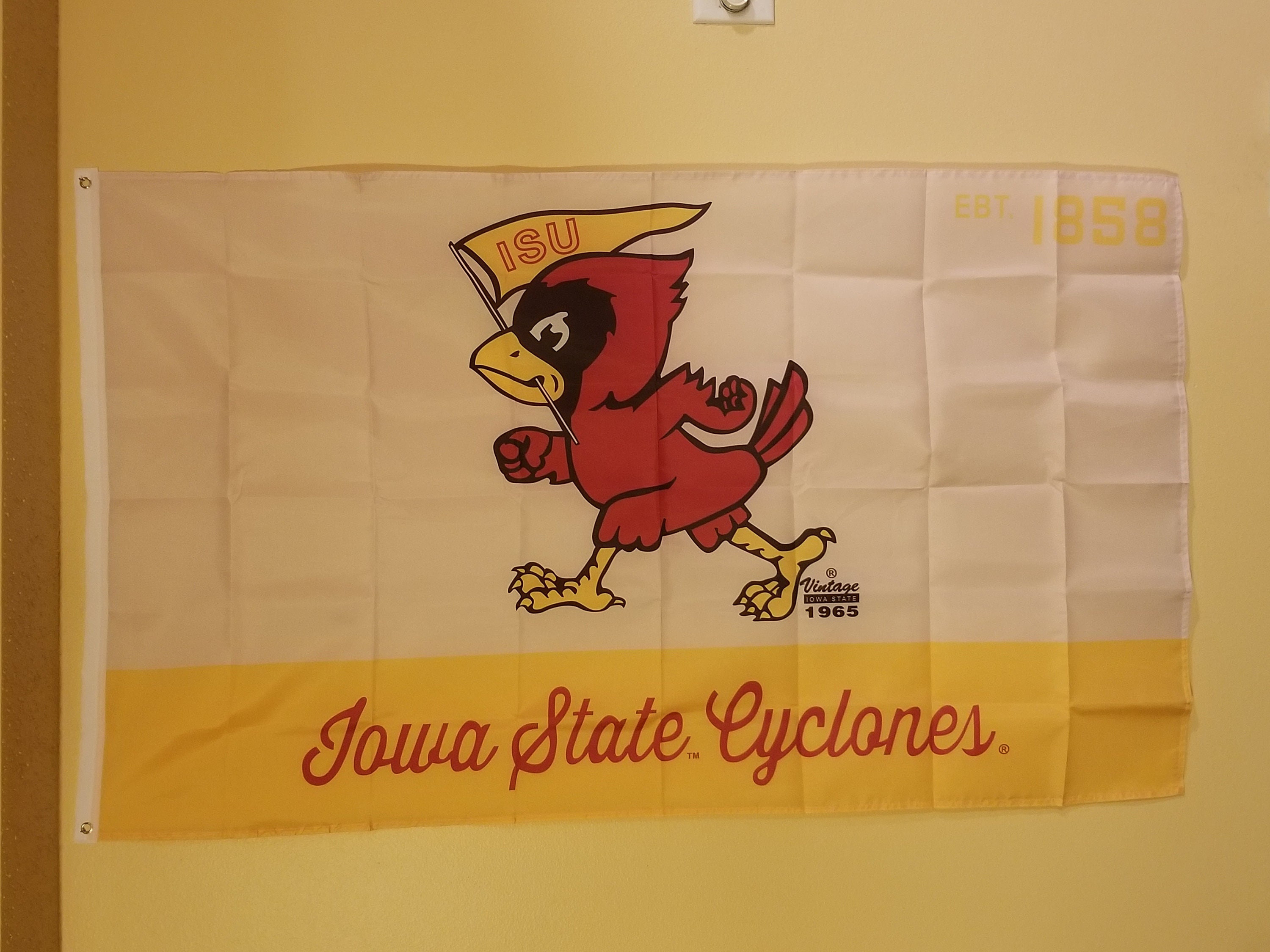 Iowa State Cyclones 3 X 5 Flag 2 - Etsy