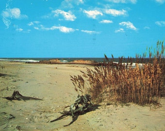 Outer Banks Postcards - Etsy