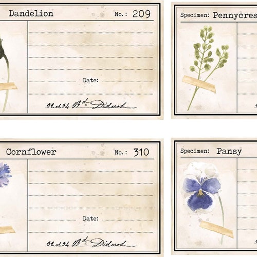 Pressed Flower Specimen Journal Cards Vintage Botanicals - Etsy