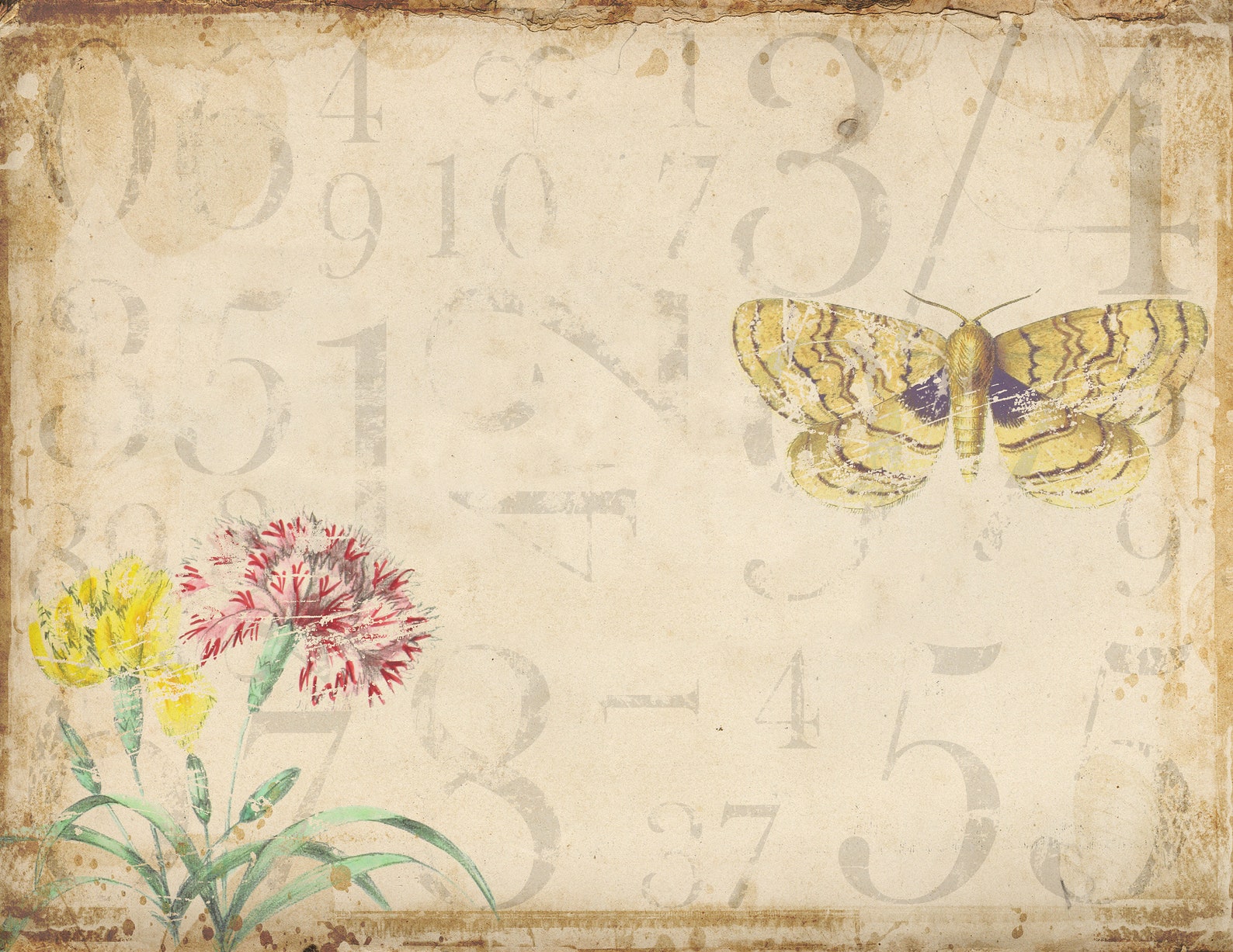 Shabby Numbers Papers DIGITAL Printable Junk Journal Pages - Etsy