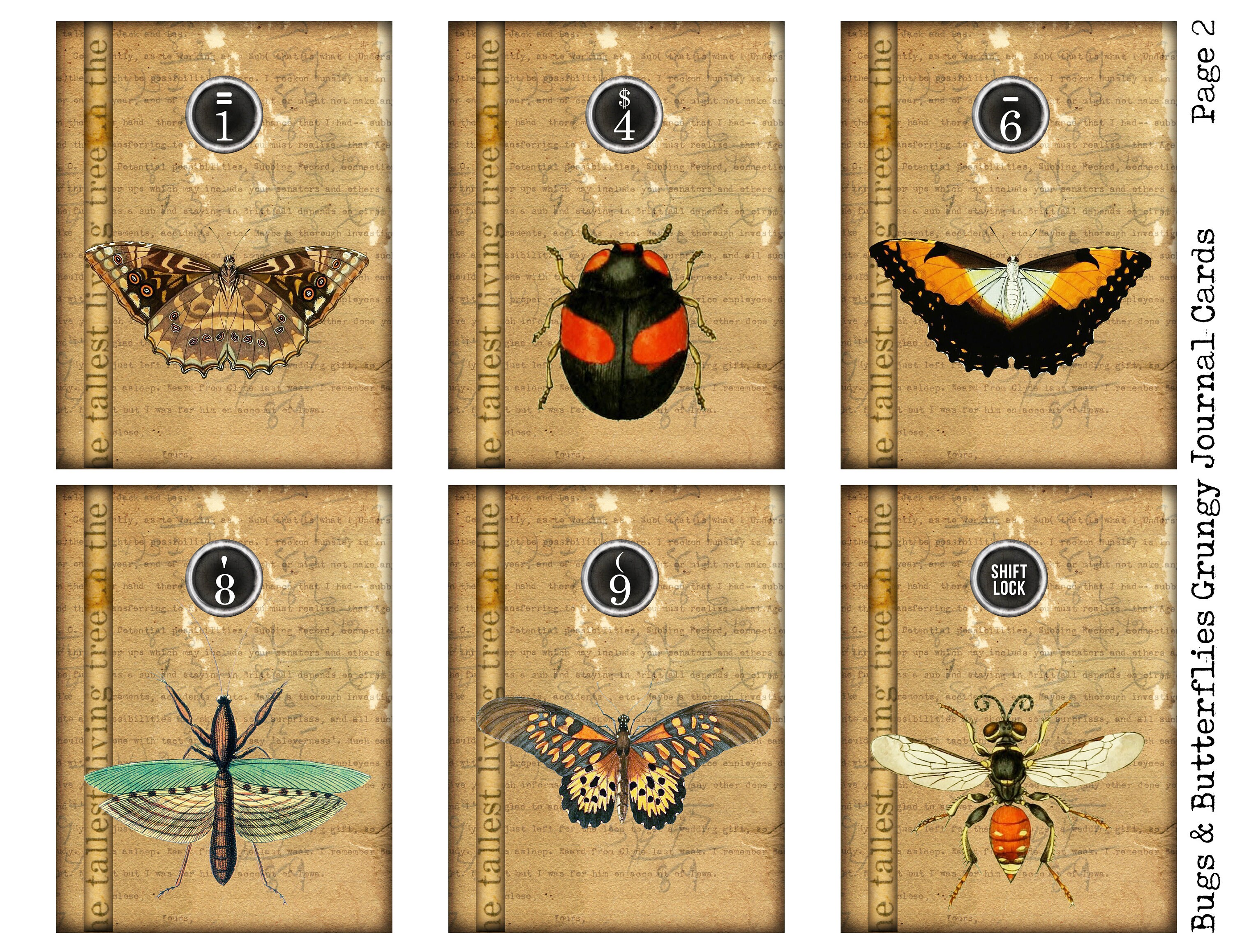Vintage Insects Journal Cards Digital Printable Vintage | Etsy