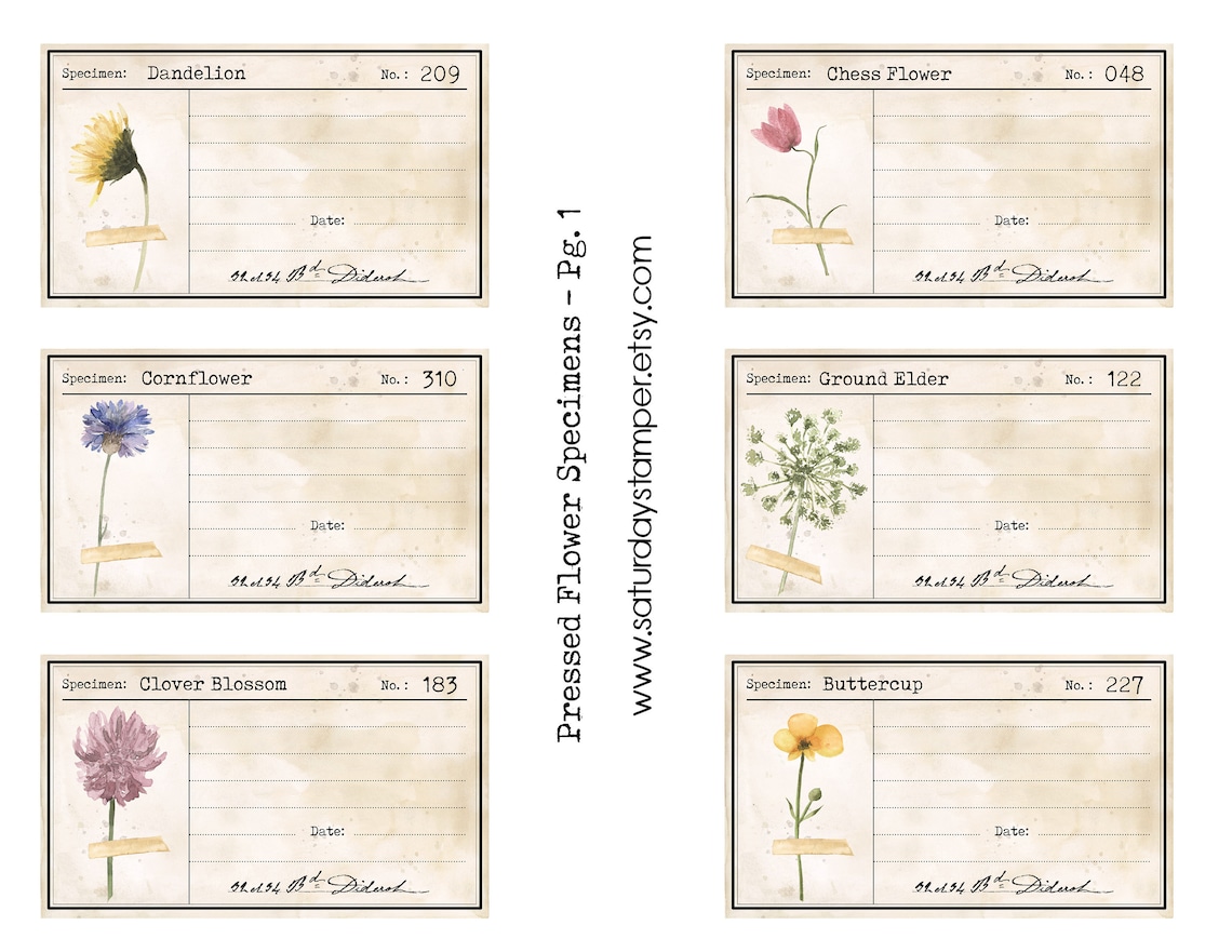 Pressed Flower Specimen Journal Cards, Vintage Botanicals, Digital ...