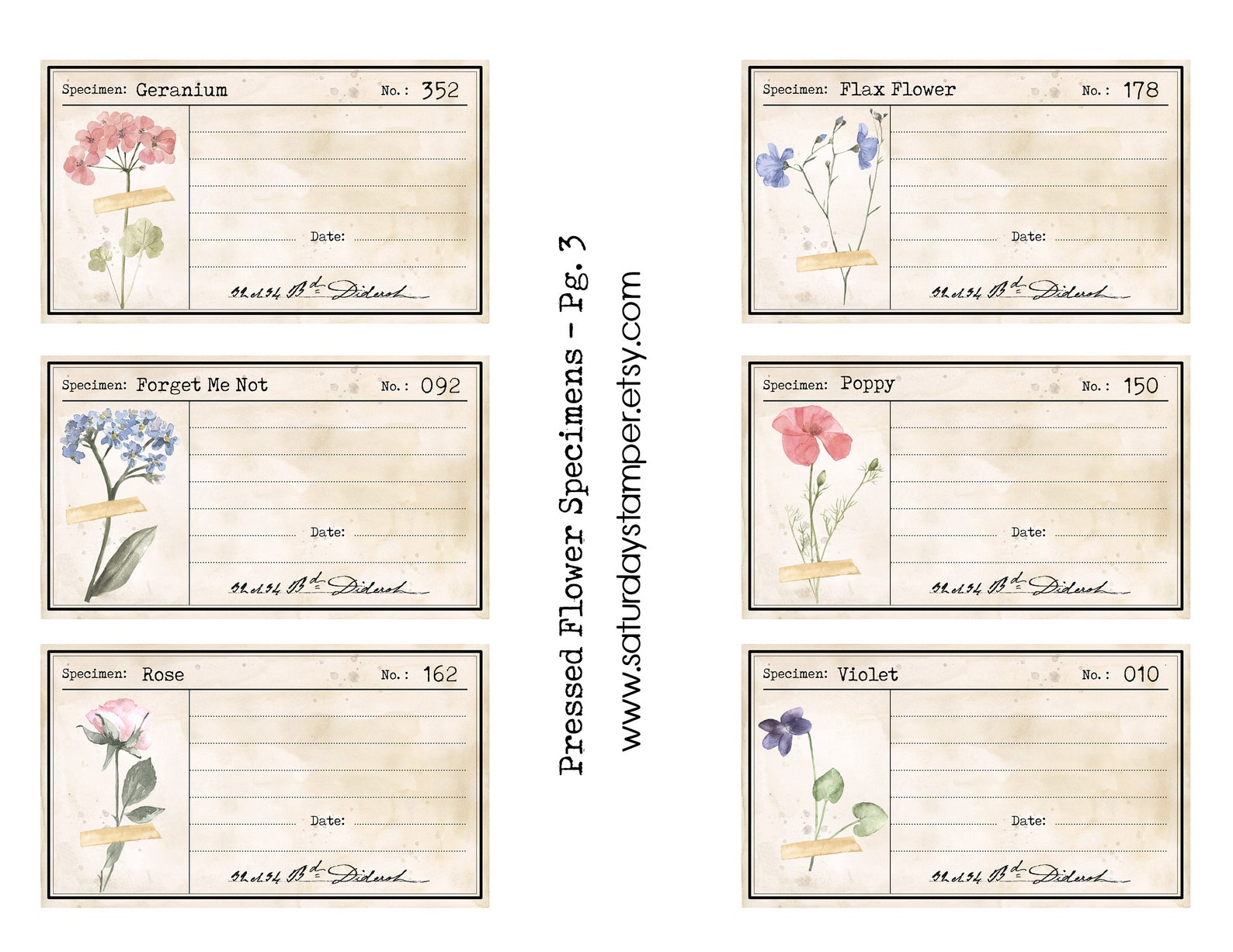 Pressed Flower Specimen Journal Cards, Vintage Botanicals, Digital ...