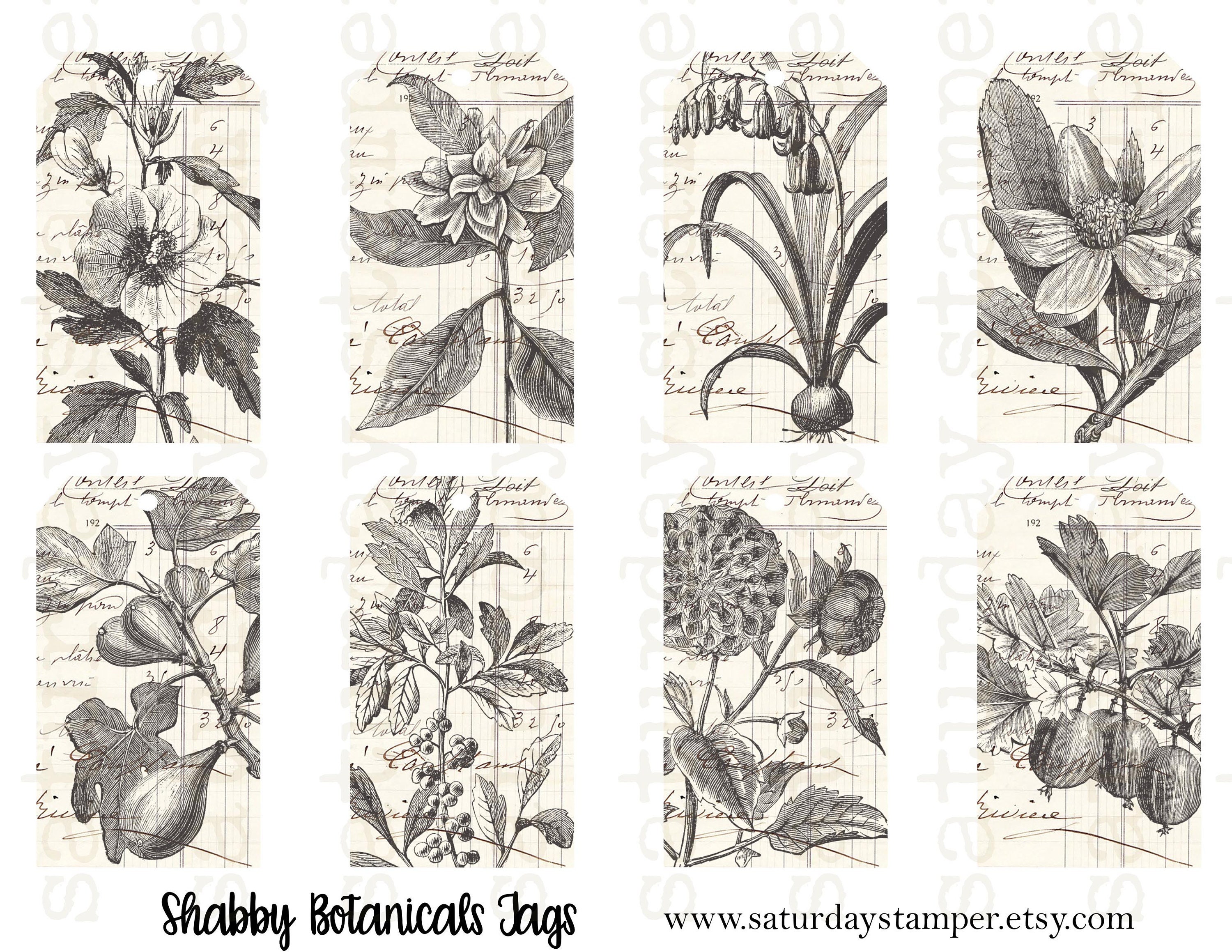 Shabby Botanical Tags Floral Ledger Tags Digital Printable - Etsy
