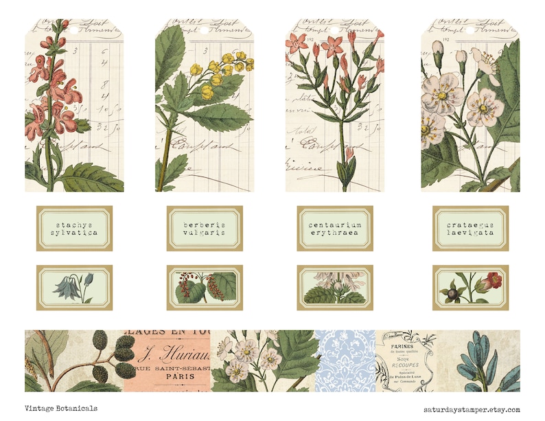Botanical Printable Papers Set, Vintage Ephemera, Digital Download ...