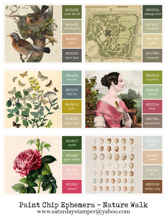 Paint Chip Cards Vintage Style Paint Cards Vintage Ephemera | Etsy