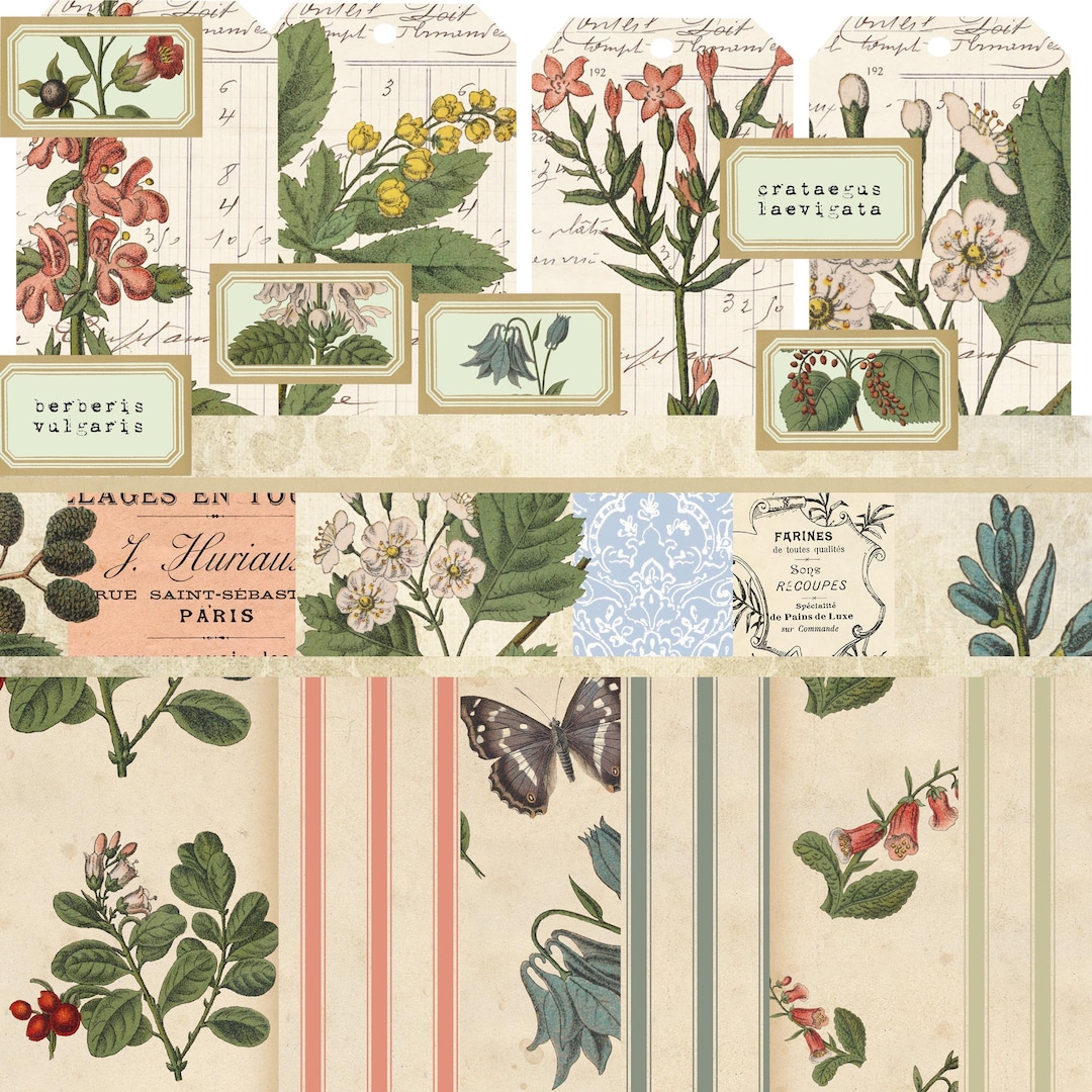 Botanical Printable Papers Set, Vintage Ephemera, Digital Download ...