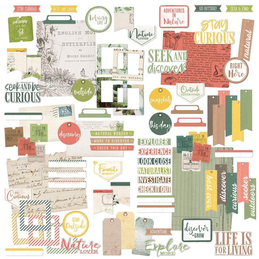 49 and Market Vintage Artistry Naturalist Ephemera, Nature Ephemera ...