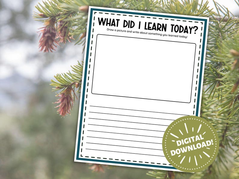 Pine Tree Life Cycle Science Activities: Printable Winter Nature Study ...
