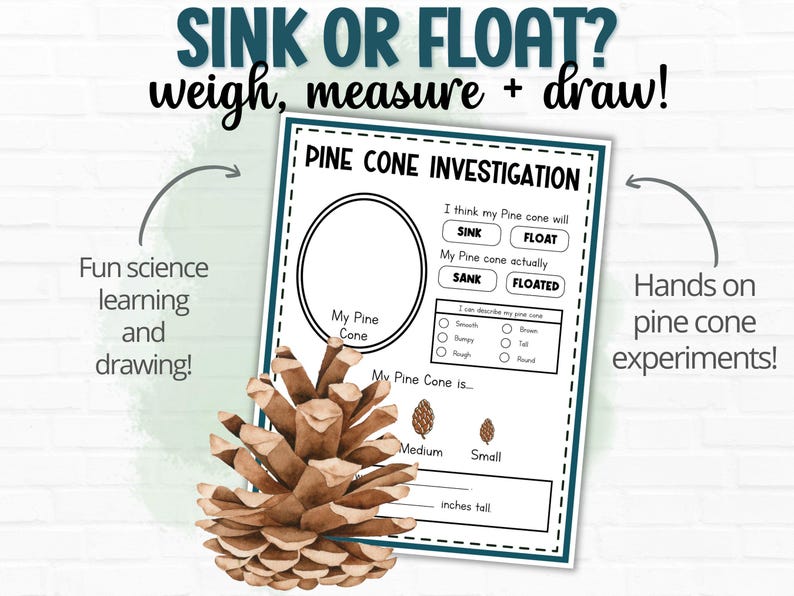 Pine Tree Life Cycle Science Activities: Printable Winter Nature Study ...
