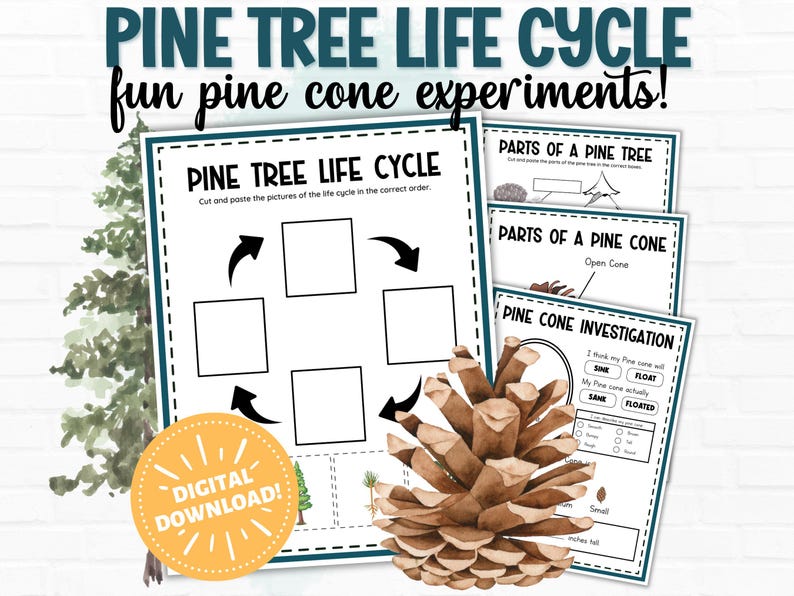 Pine Tree Life Cycle Science Activities: Printable Winter Nature Study ...