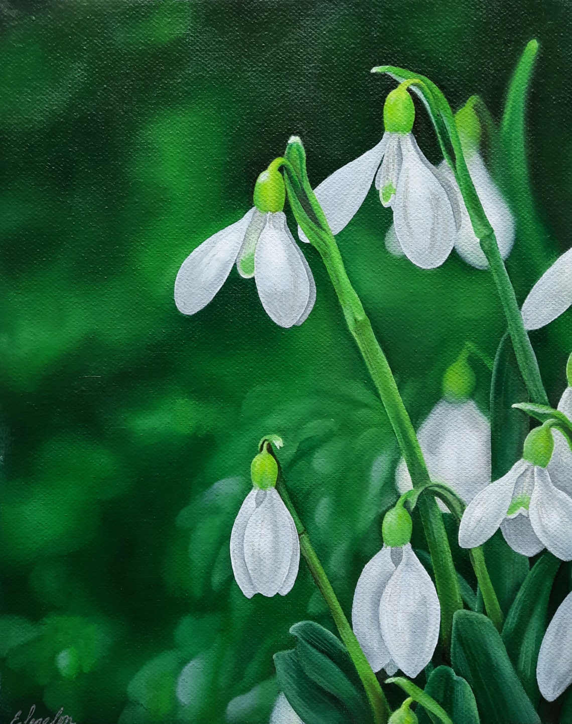 Snowdrop Oil Painting Print Oil on Canvas Landscape - Etsy