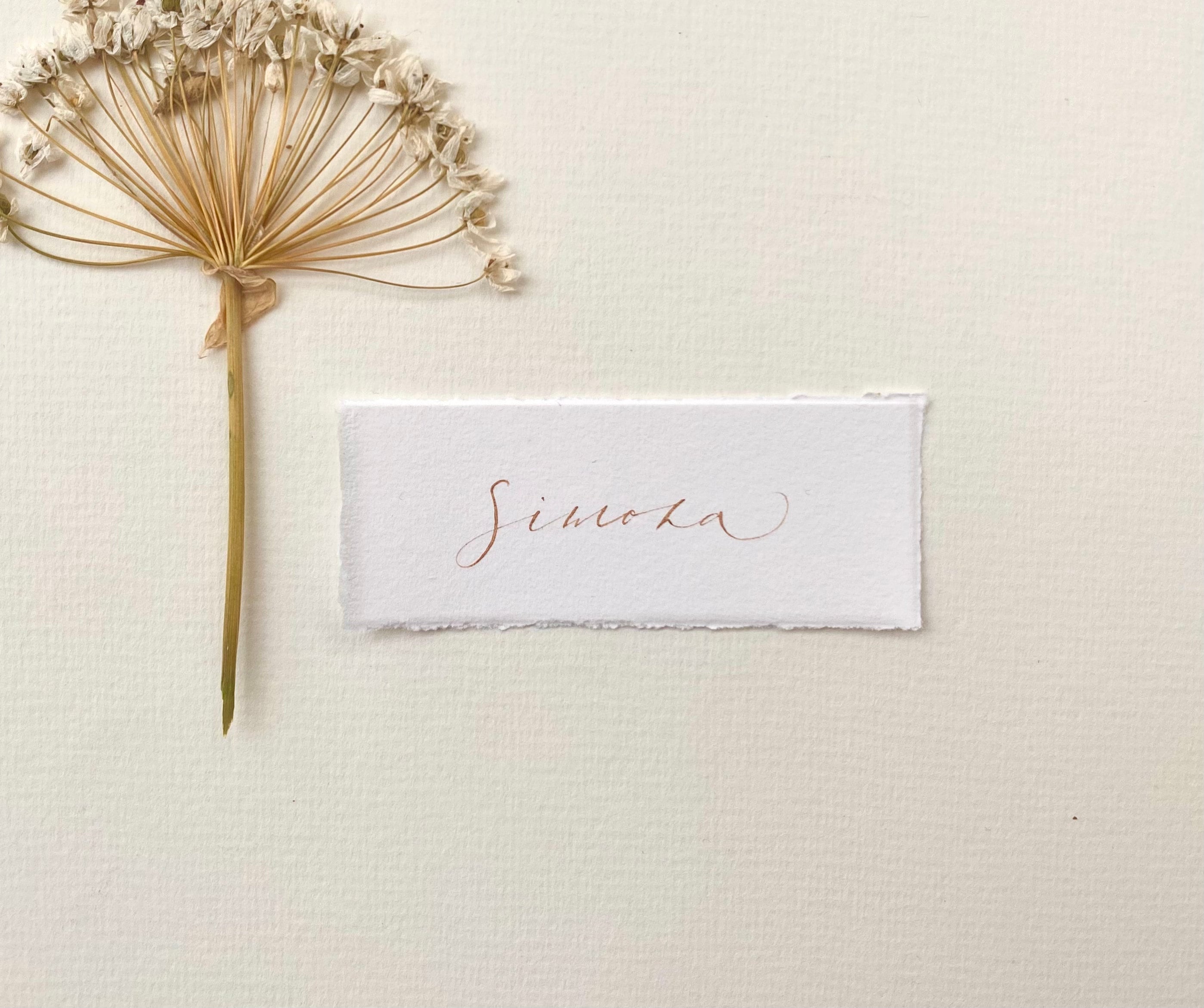 Placeholder Place Card Name Tag Name in Handwriting on | Etsy