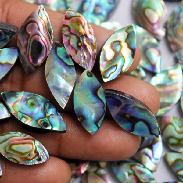 Abalone Cabochons - Etsy