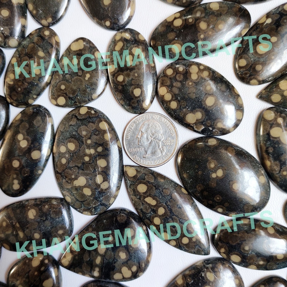 Natural Fossil Oolite Cabochon OOLITE Coral Stone Wholesale | Etsy