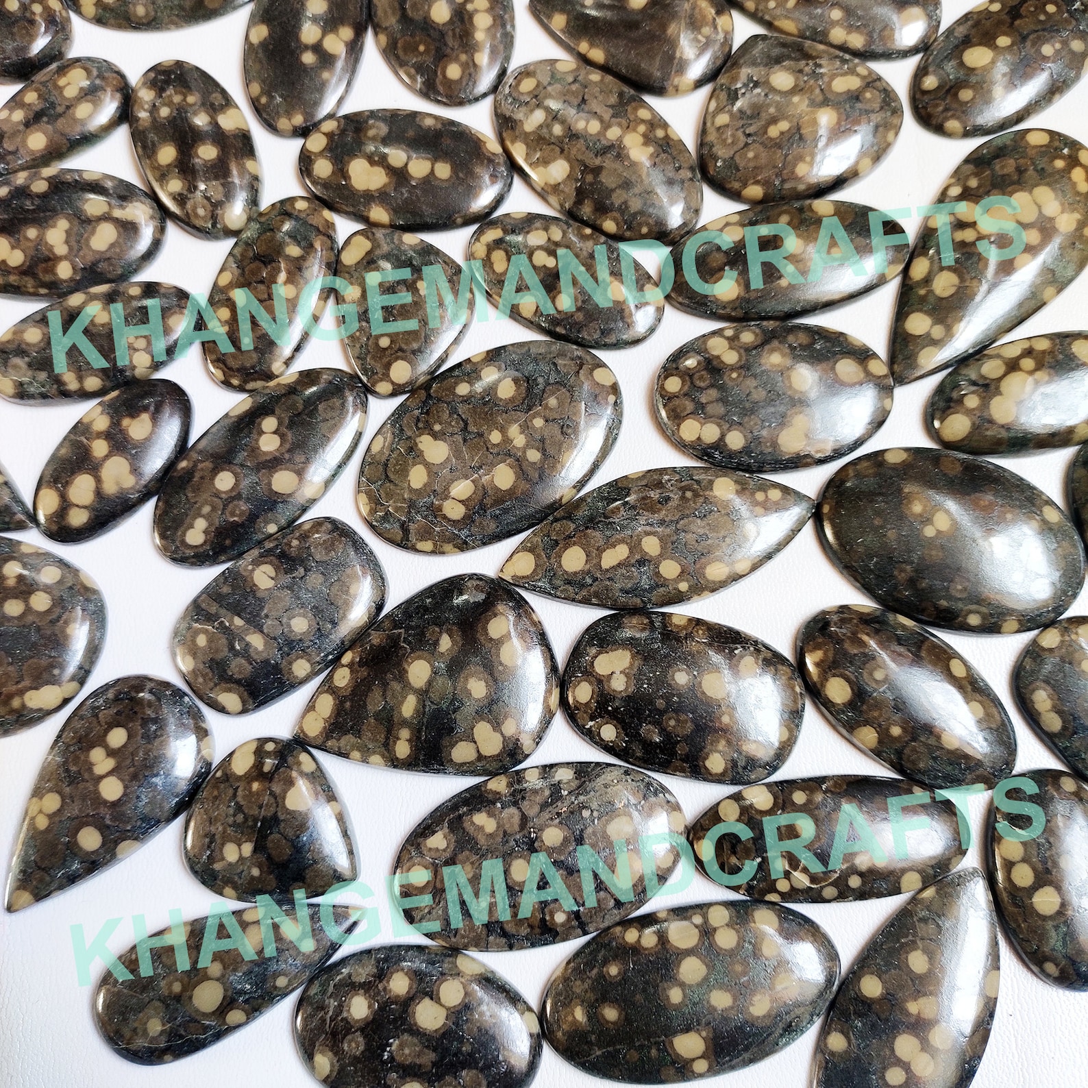 Natural Fossil Oolite Cabochon, OOLITE Coral Stone Wholesale, Crinoid Fossil Oolite, Black ...