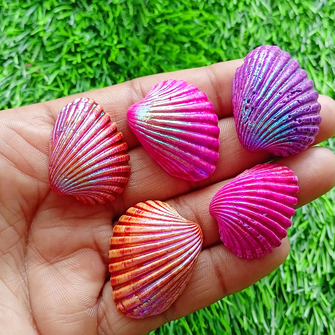 Aura Titanium Coated Shell, Wholesale Lot Titanium Coated Shells ...