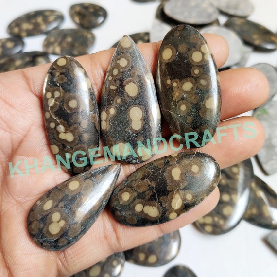 Natural Fossil Oolite Cabochon OOLITE Coral Stone Wholesale | Etsy