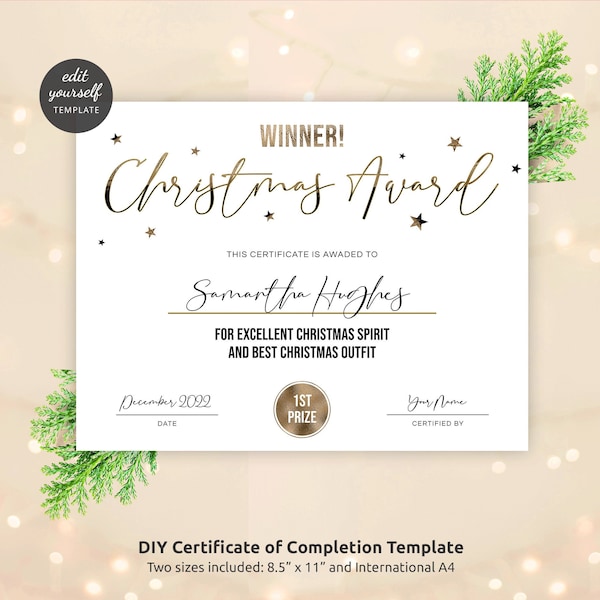 Excellence Award - Etsy