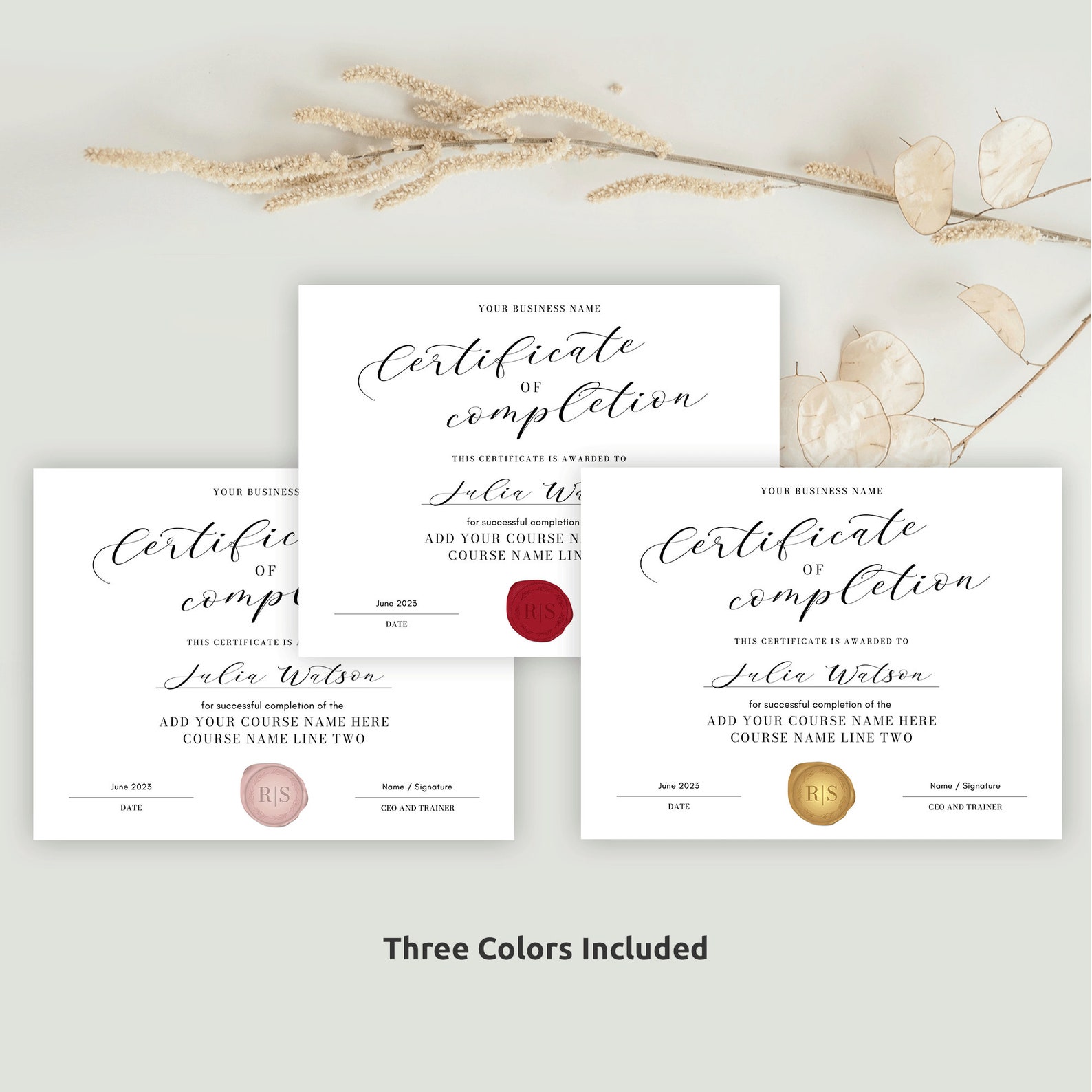 Elegant Completion Certificate Template With Calligraphy Font - Etsy