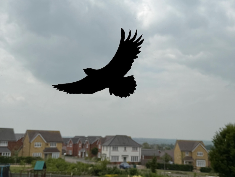Sticker Vinyl - Bird Deterrent Window Hawk Silhouette, Anti-collision ...