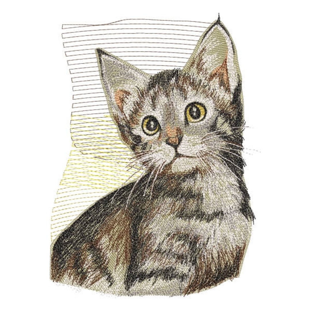 Pet Cat realistic Embroidery Design 5 Different Sizes for Instant ...
