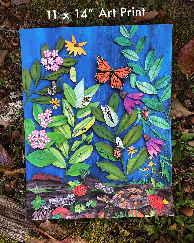 The Life Cycle Of A Monarch Butterfly Etsy the-life-cycle-of-a-monarch-butterfly-etsy