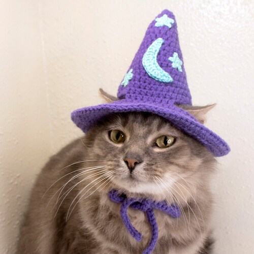 Mini Roses Cat Hat Cat Accessories Cat Clothing Cat Costume - Etsy