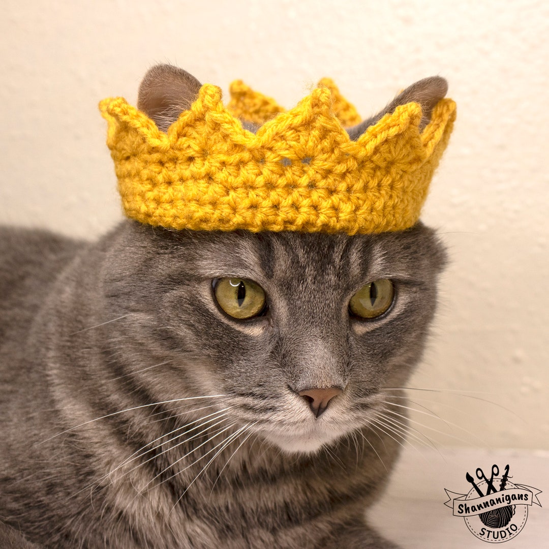 Crochet Cat Crown - Etsy