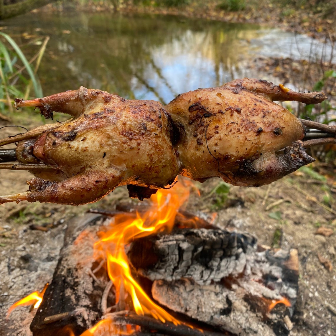 Hand Forged Rotisserie Ground Spit - Etsy