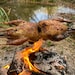 Hand Forged Rotisserie Ground Spit - Etsy