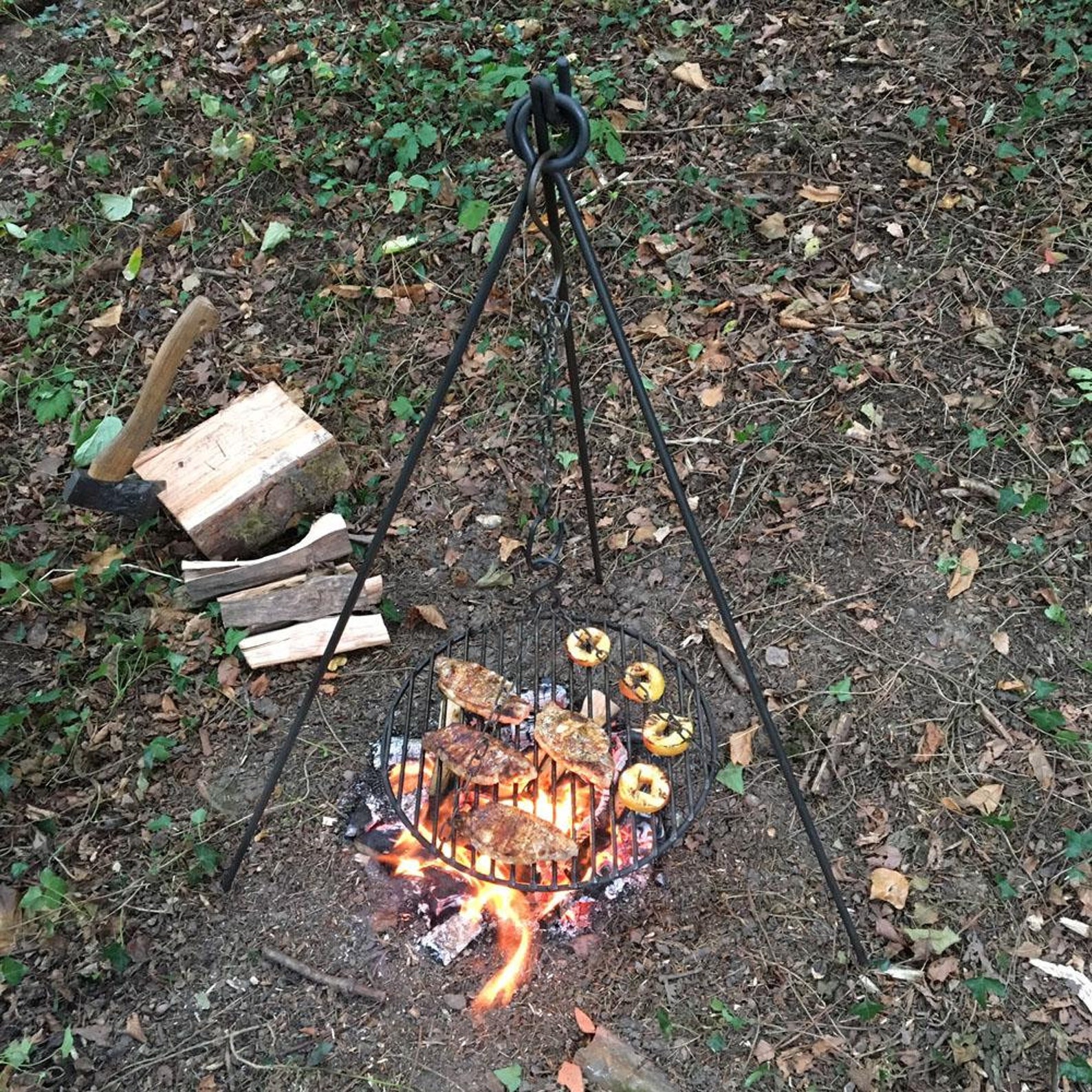 2in1 Campfire Cooking Tripod | Etsy