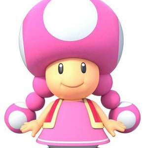 Mushroom | Toad | Toadette | Hat | Super Mario | Toadstool | Gnome ...