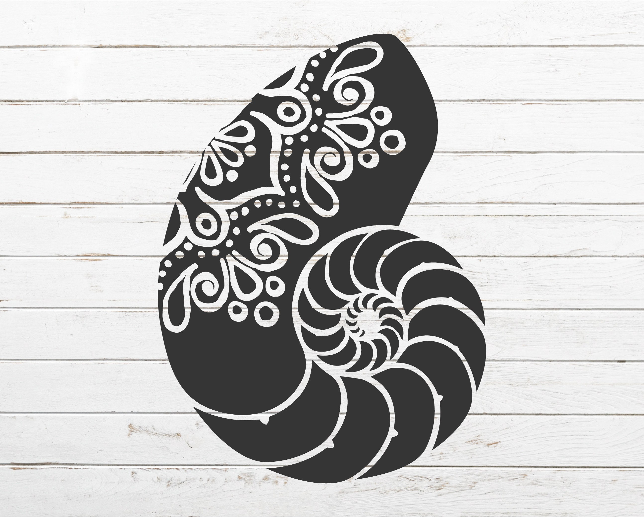 Shell Mandala SVG Ocean Svg Sea Shell SVG Shell Svg Shell | Etsy