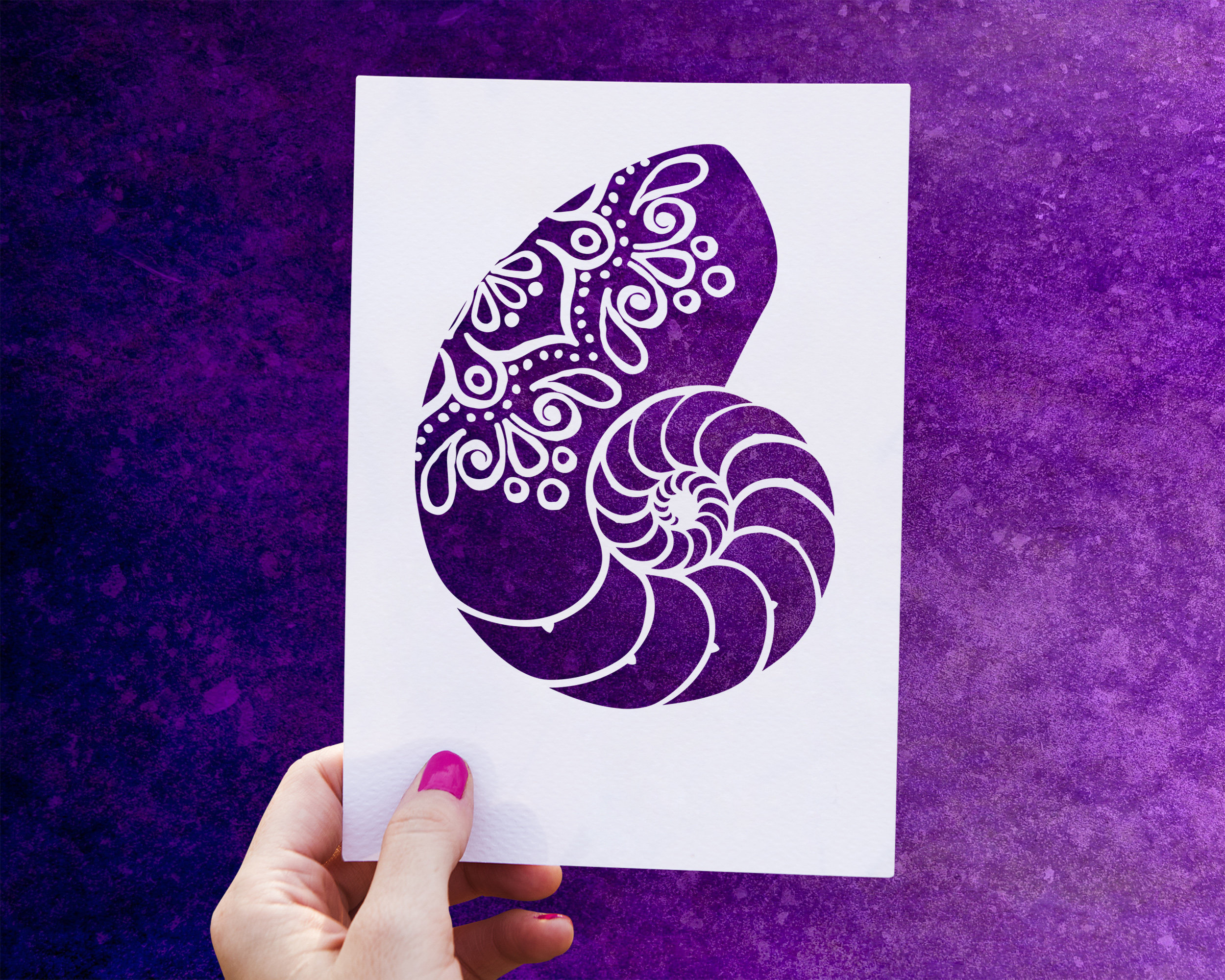 Shell Mandala SVG Ocean Svg Sea Shell SVG Shell Svg Shell | Etsy