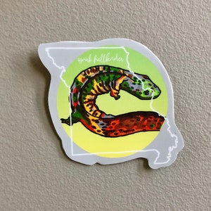 Missouri Ozark Hellbender Endangered Species Vinyl Sticker Miranda ...