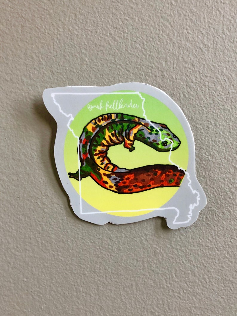 Missouri Ozark Hellbender Endangered Species Vinyl Sticker - Etsy
