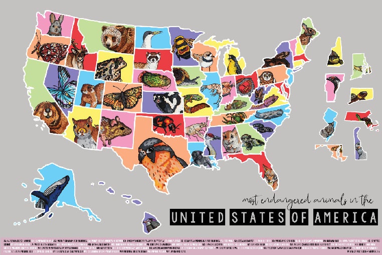 ENDANGERED SPECIES Full U.S Map Digital Download Miranda - Etsy
