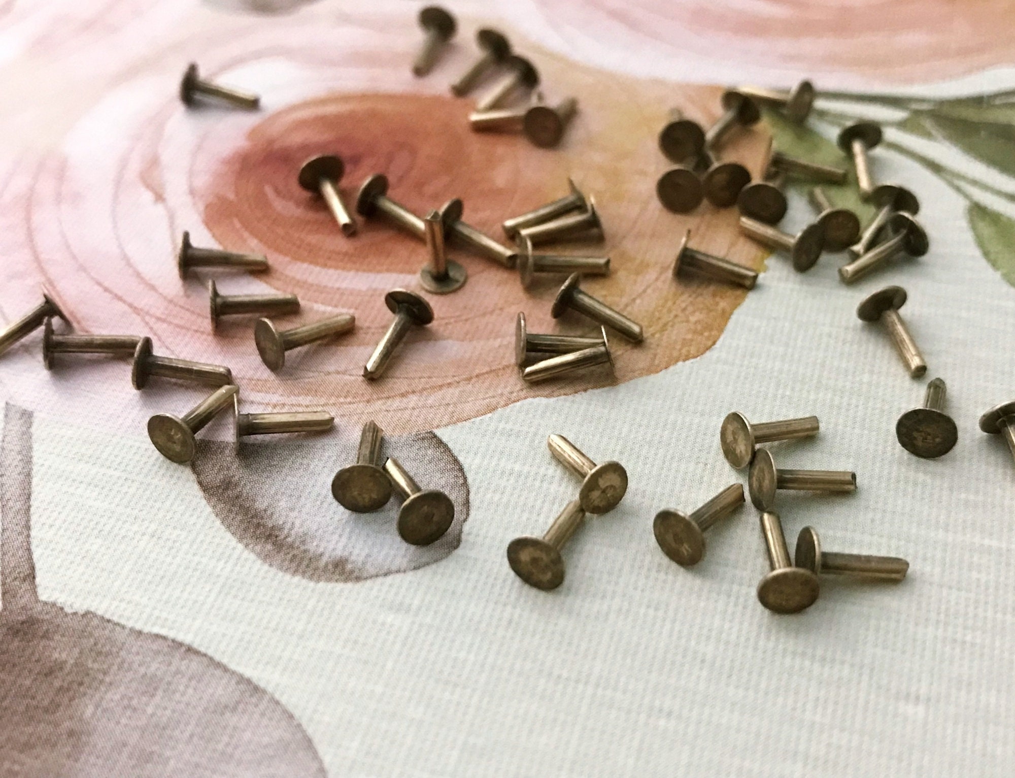 1/4 Solid Brass Rivet 16 G 3.81 Mm .150 - Etsy