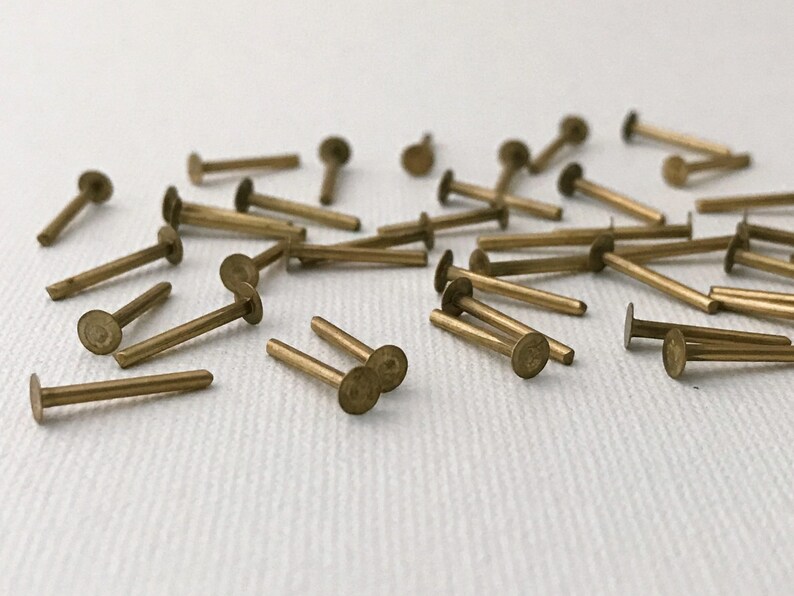 1/2 Solid Brass Rivet 16 G 3.81 Mm .150 | Etsy