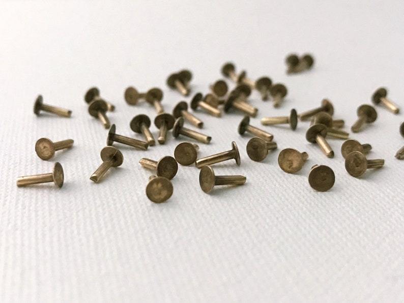 1/4 Solid Brass Rivet 16 G 3.81 Mm .150 - Etsy