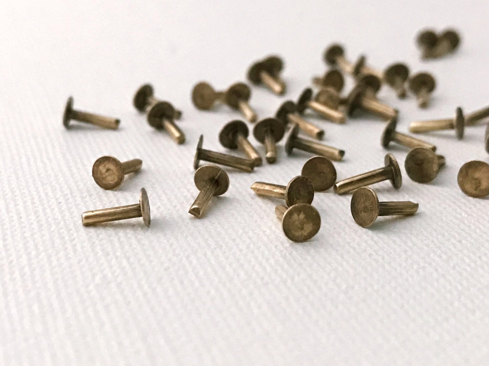 1/4 Solid Brass Rivet 16 G 3.81 Mm .150 - Etsy
