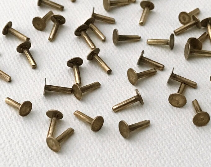 1/4 Solid Brass Rivet, 16 G, 3.81 Mm .150 Diameter Head, Tiny Head Pin ...