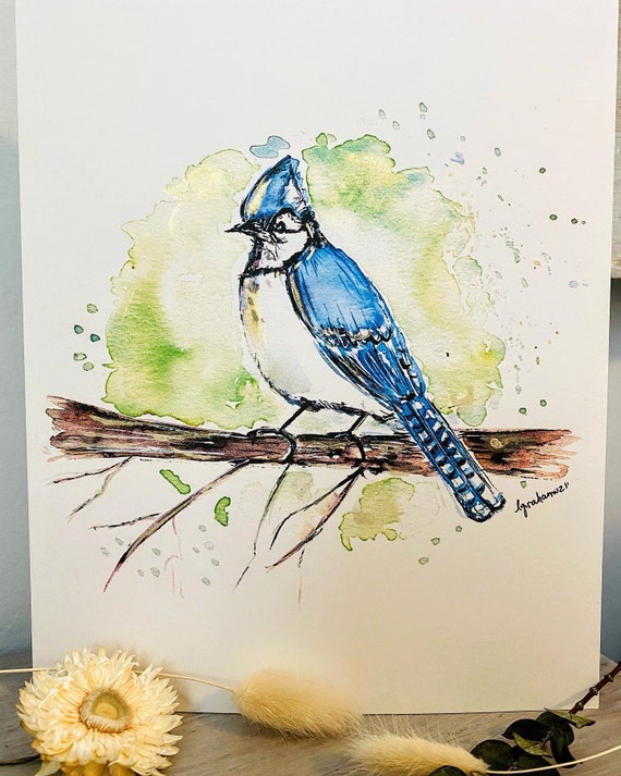 Blue Jay And Cardinal Drawing
