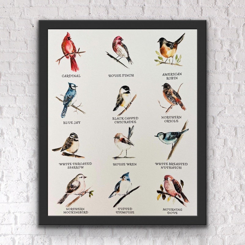 Bird Art Poster - Etsy